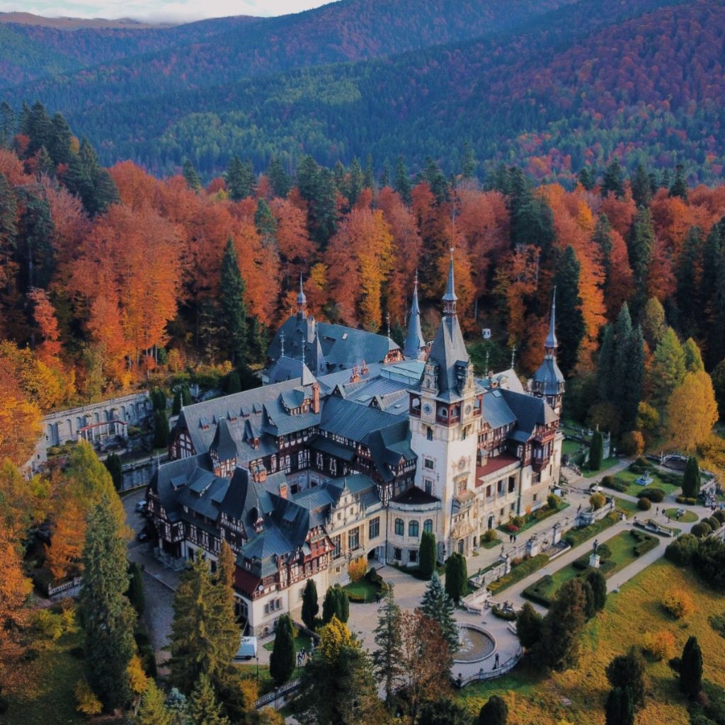 Contact Us | Holycode